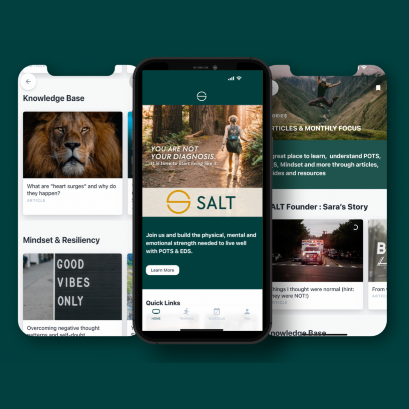 Main Home - SALT for POTS